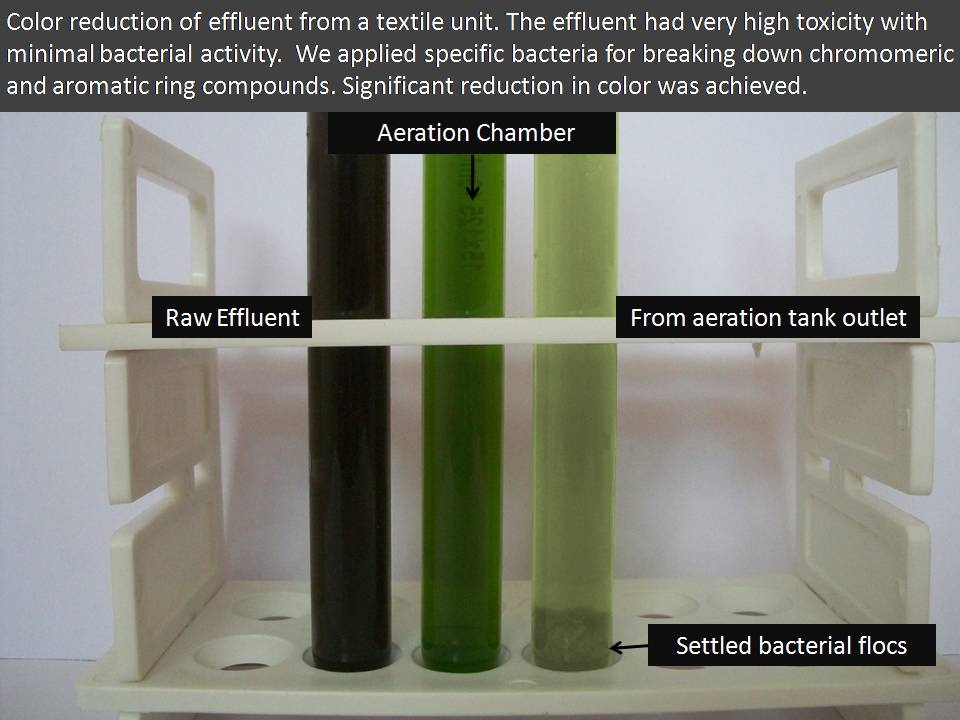 Manufacturer and Supplier of Bacteria for Colour Removal from Textile ...