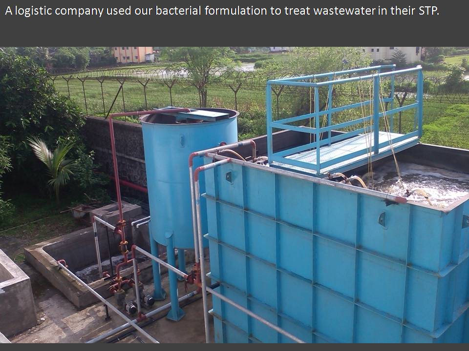 Manufacturer and Supplier of Bacteria for Wastewater Treatment in India