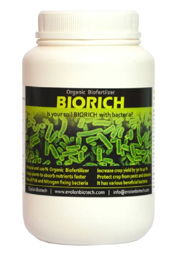 Best Bacteria for Wastewater Treatment | Top Products of Evolon Biotech